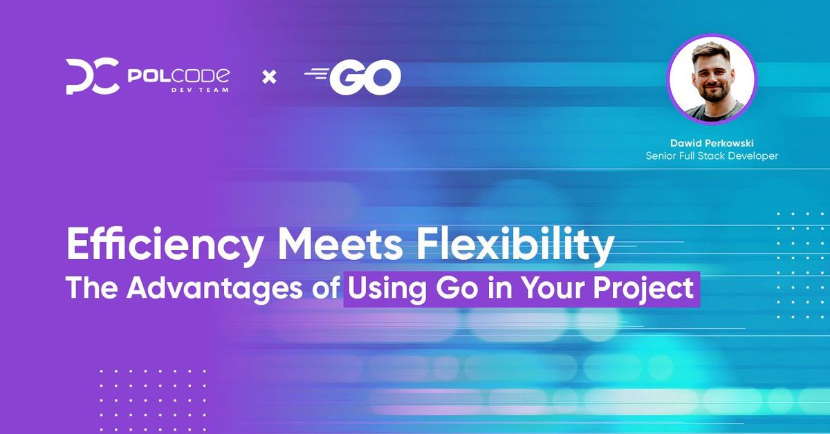 Efficiency Meets Flexibility: The Advantages of Using Go in Your Project