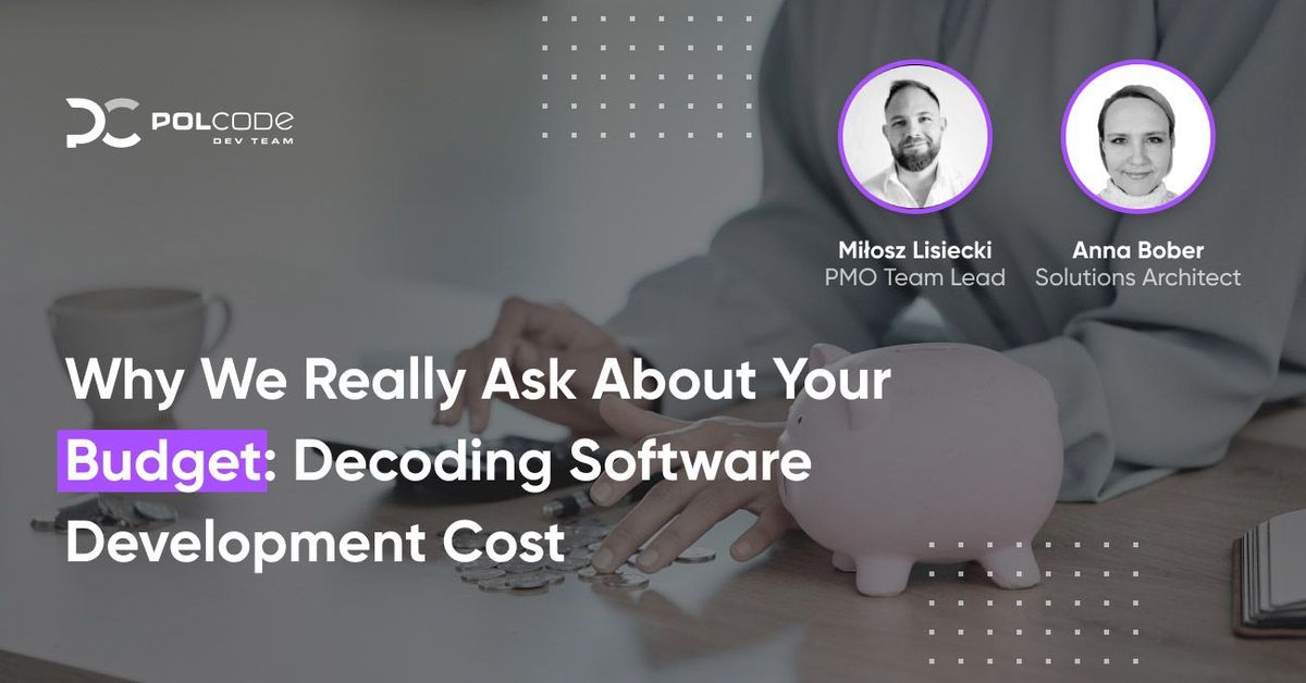 Why We Really Ask About Your Budget: Decoding Software Development Cost