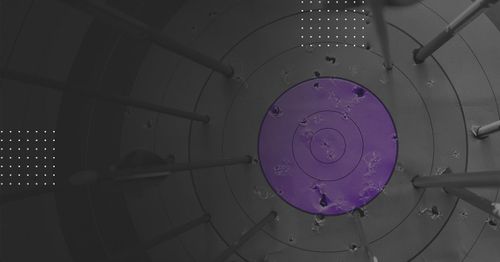 Building A Client Database With Polcode Increases Customer Satisfaction