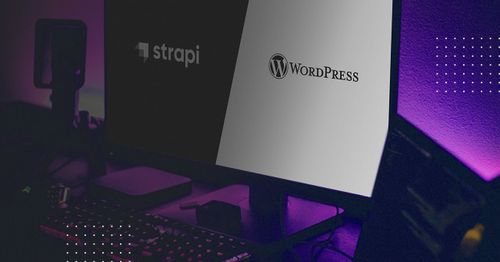 Top-rated web development company in Poland | Polcode.com